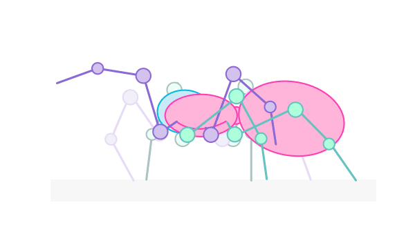 How to Draw Animals: Spiders, Popular Species, Anatomy and Movement ...
