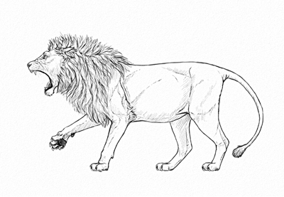Free animal drawing tutorials | Envato Tuts+