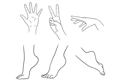 Free Human Anatomy tutorials and courses | Envato Tuts+