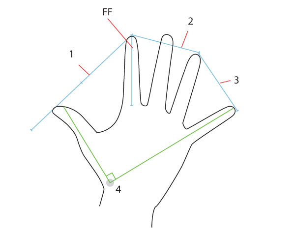 Human Anatomy Fundamentals: How to Draw Hands | Envato Tuts+