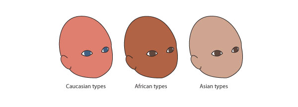 Human Anatomy Fundamentals: Drawing Different Ages | Envato Tuts+