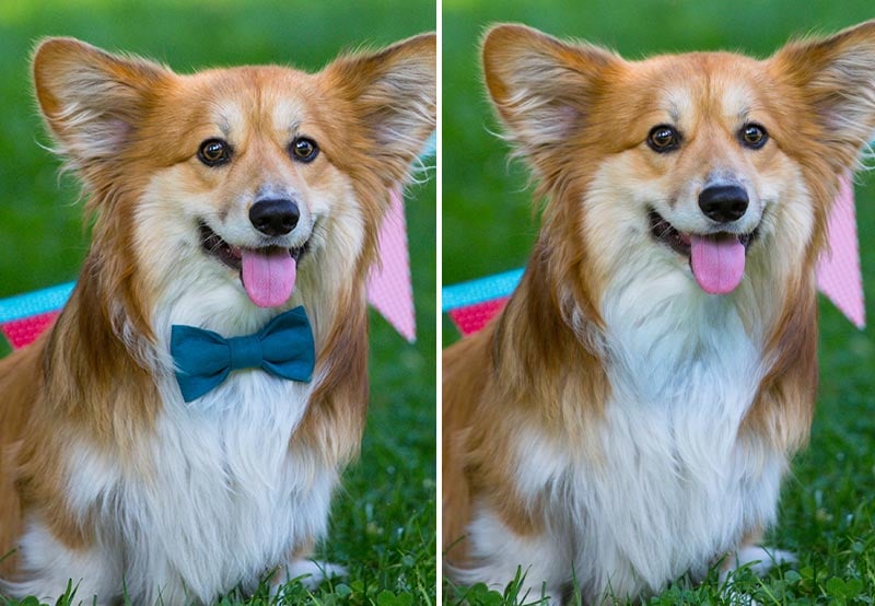 Photo Courses and Tutorials | Envato Tuts+