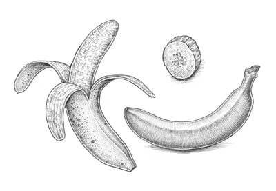 Free drawing theory tutorials and courses | Envato Tuts+
