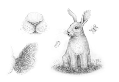 Free animal drawing tutorials | Envato Tuts+