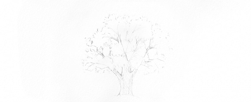 How to Draw Trees | Envato Tuts+