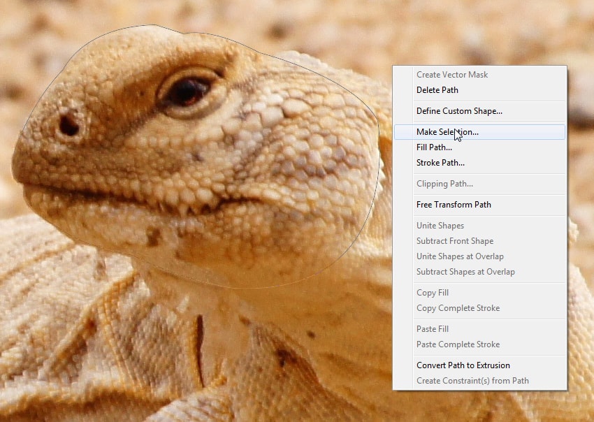How to Create a Cute Baby Dragon Photo Manipulation in Adobe Photoshop ...