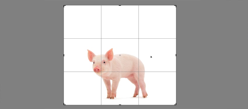 How to Add Wings to a Photo in Adobe Photoshop | Envato Tuts+