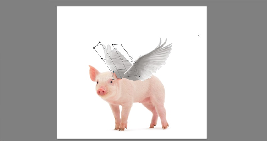 How to Add Wings to a Photo in Adobe Photoshop | Envato Tuts+