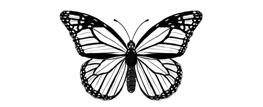 How to Draw a Butterfly Step by Step | Envato Tuts+
