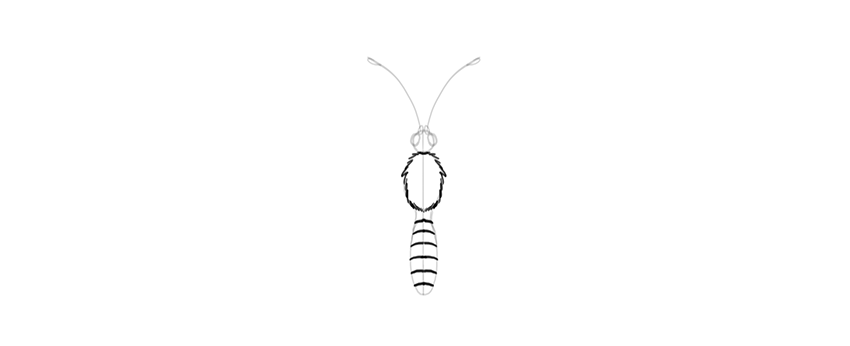 How to Draw a Butterfly Step by Step | Envato Tuts+