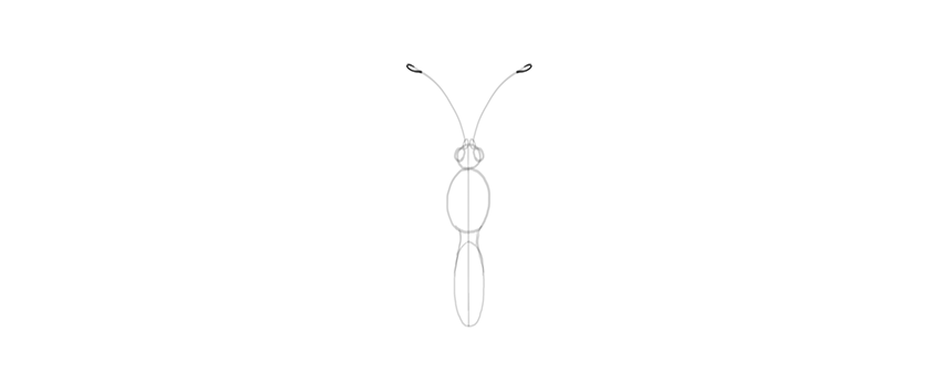 Cómo Dibujar una Mariposa Paso a Paso | Envato Tuts+