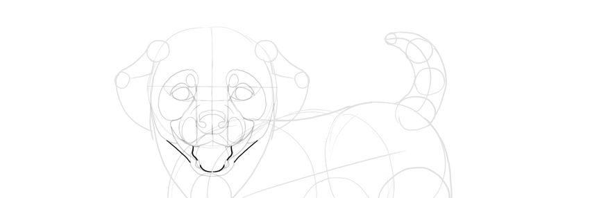 How to Draw a Puppy | Envato Tuts+