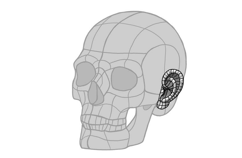 How to Draw Ears | Envato Tuts+