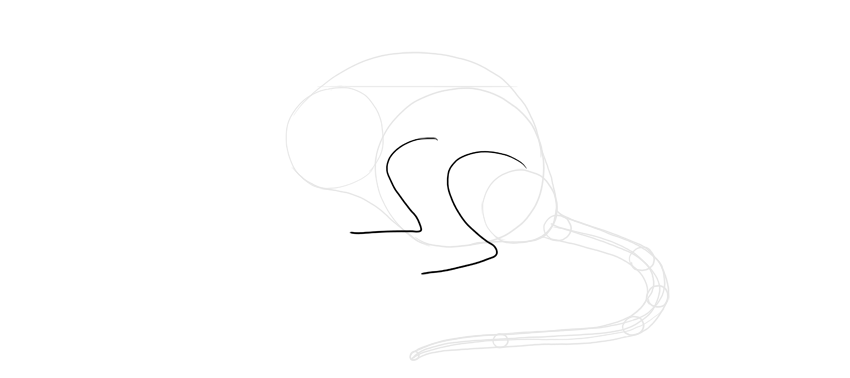 How to Draw a Mouse | Envato Tuts+