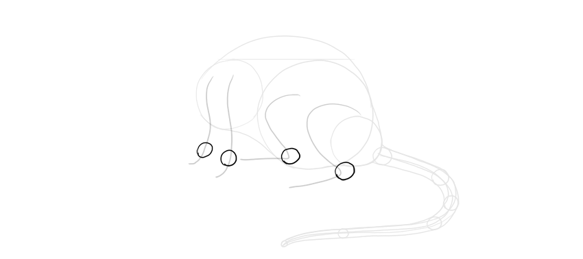 How to Draw a Mouse | Envato Tuts+