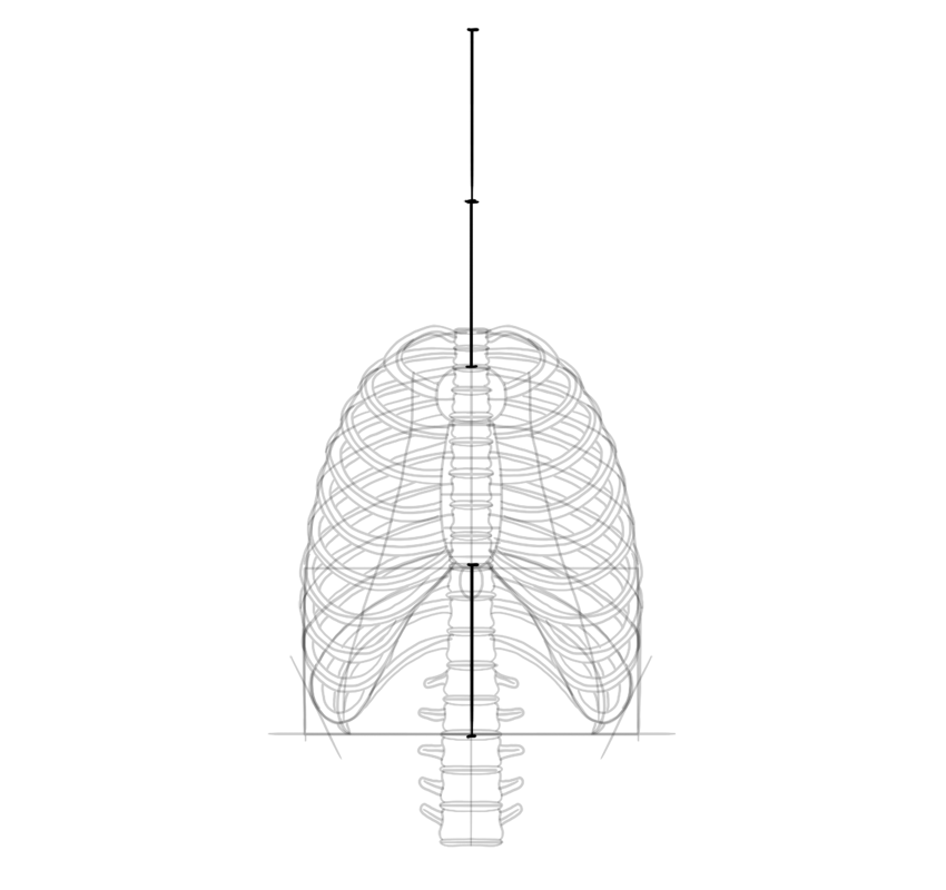 How to Draw a Skeleton Step by Step | Envato Tuts+