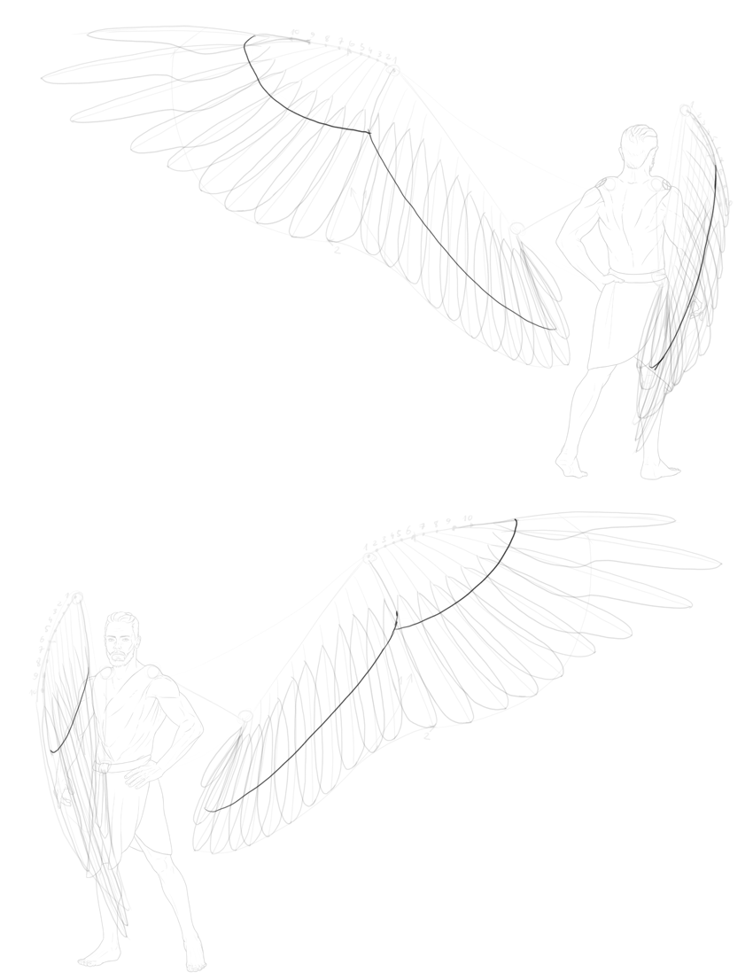 Como Desenhar Asas de Anjo