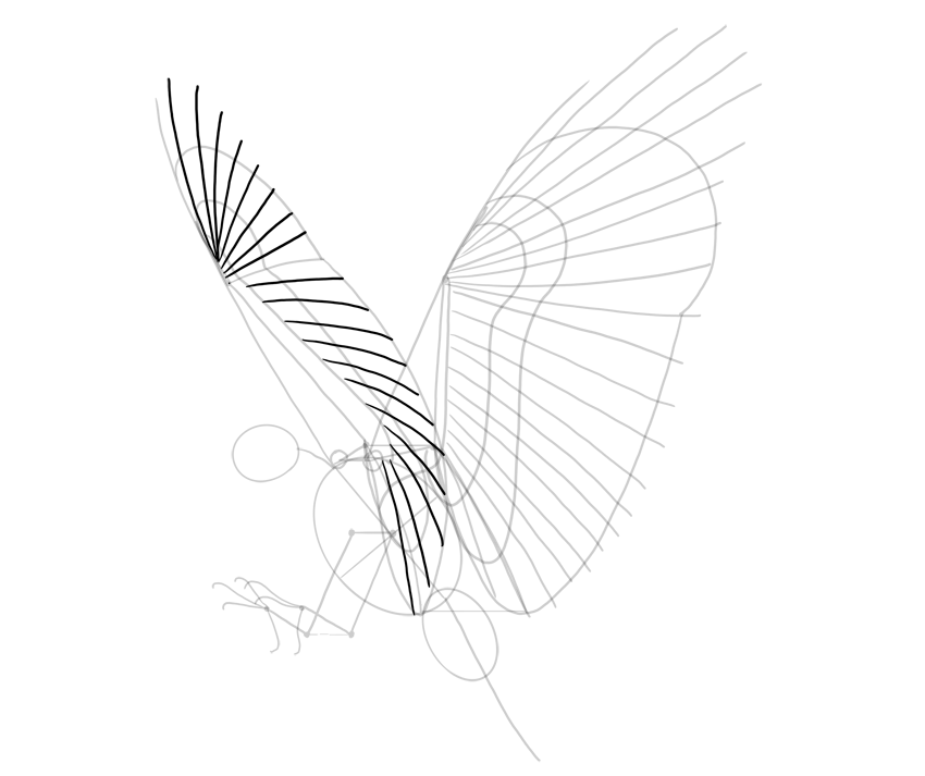 How to Draw a Hawk | Envato Tuts+