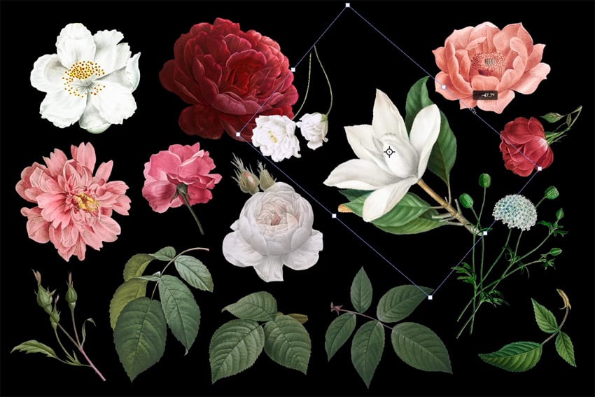 Ultimate Guide: How to Rotate in Photoshop | Envato Tuts+