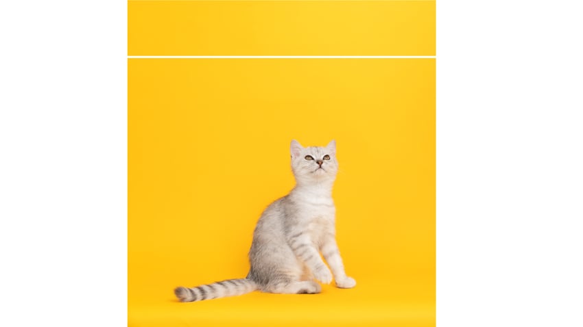 How to Erase in a Straight Line in Photoshop | Envato Tuts+