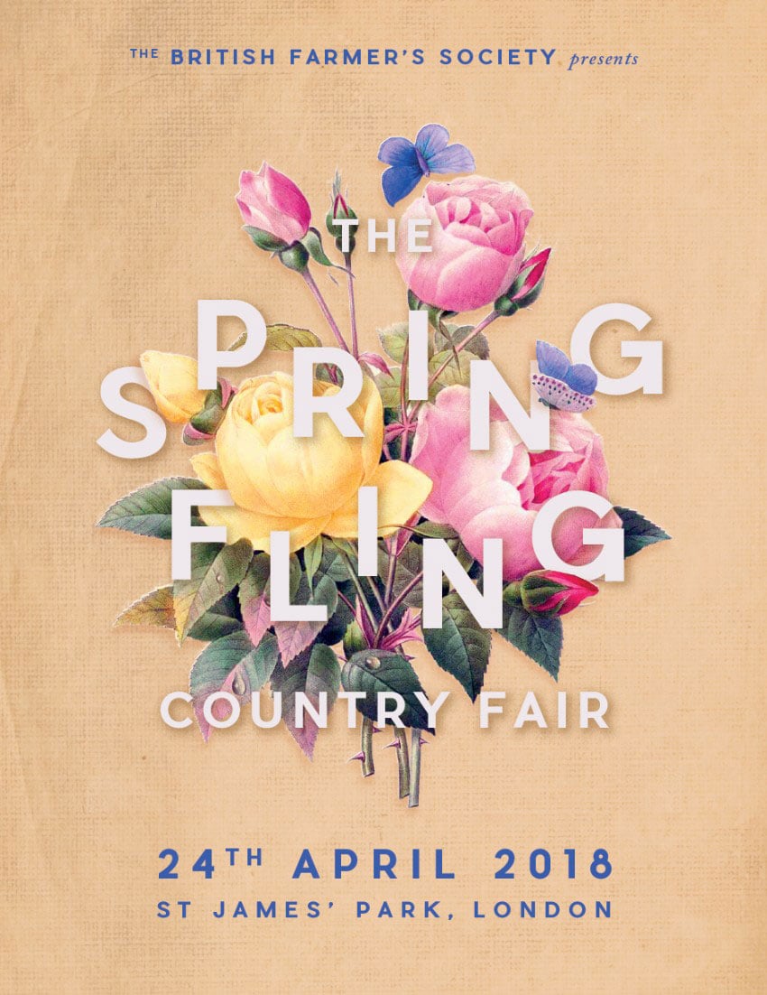 How to Create a Vintage Botanical Flyer in Adobe InDesign | Envato Tuts+
