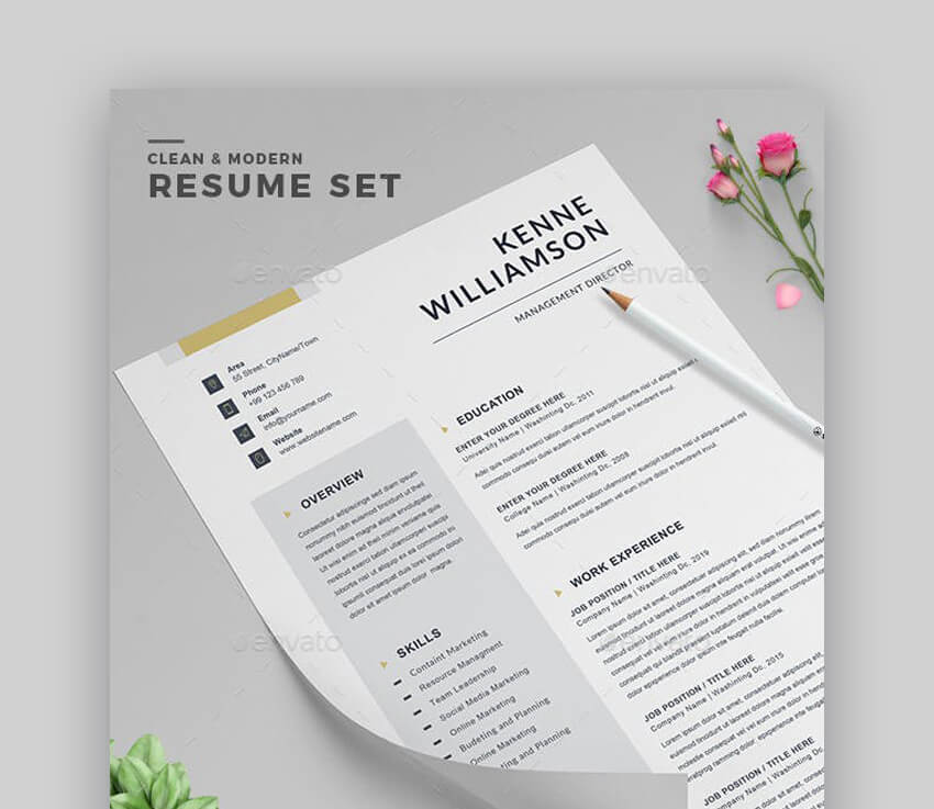 25+ Export to PDF Format Resume Templates (Free + Premium Designs 2025 ...