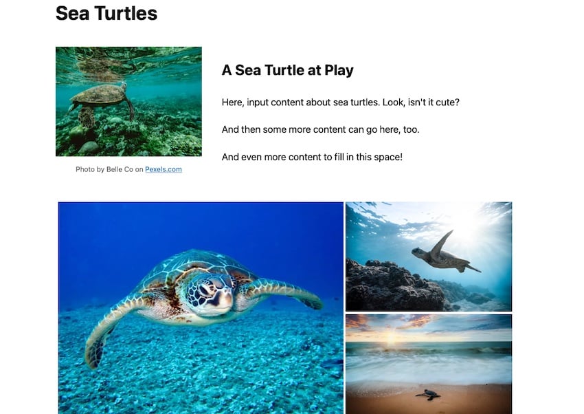 How to Make a Block Pattern for Easy Layouts in WordPress | Envato Tuts+