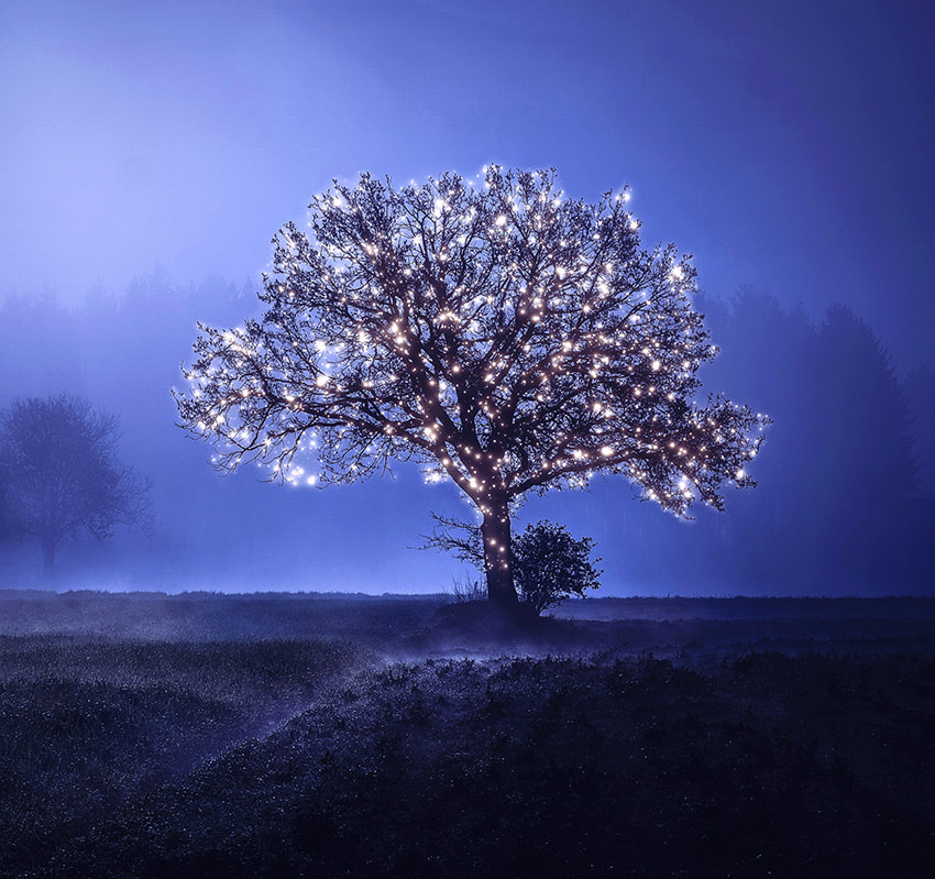 How to Add Lights to a Tree With a Photoshop Action | Envato Tuts+