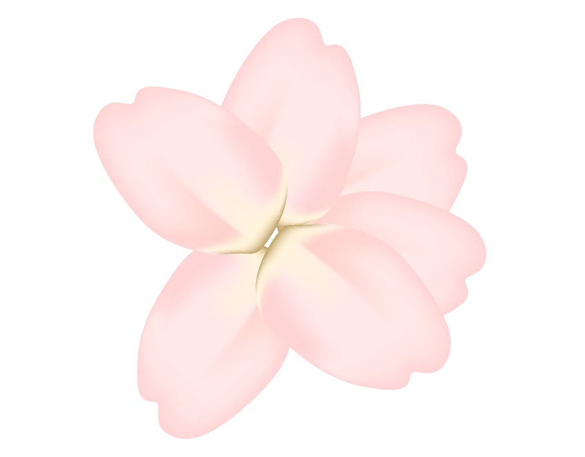 How to Create Spring Flowers With the Gradient Mesh in Adobe ...