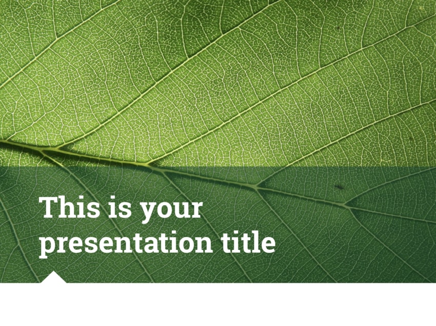 22+ Nature & Floral Google Slides Themes (Free + Premium) | Envato Tuts+