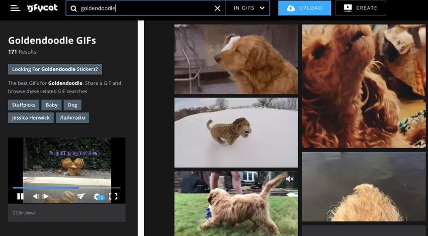 How to Quickly Add GIFs Into Google Slides Presentations