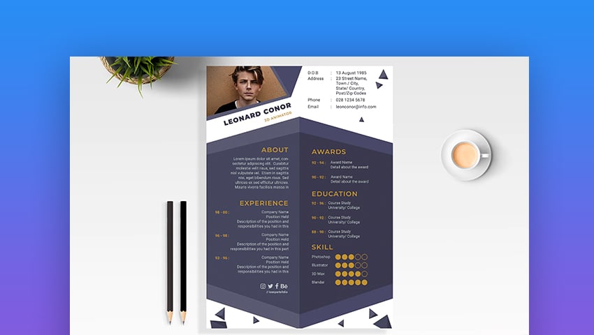 25 Awesome Resume CV Templates (With Beautiful Layout Designs 2025 ...