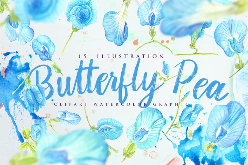 43 Best Botanical Illustrations: Drawing and Painting Inspiration ...