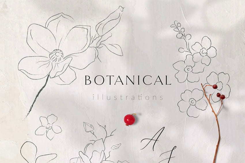 Las 43 mejores ilustraciones botánicas: Inspiración para dibujar y ...