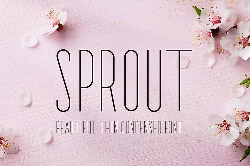 25+ Best Free Sans Serif Fonts (Download Free Fonts) | Envato Tuts+