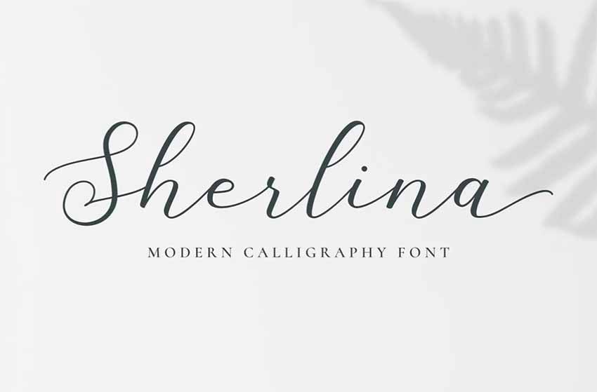 40 Best Curvy Fonts (Curved Letter Fonts) | Envato Tuts+