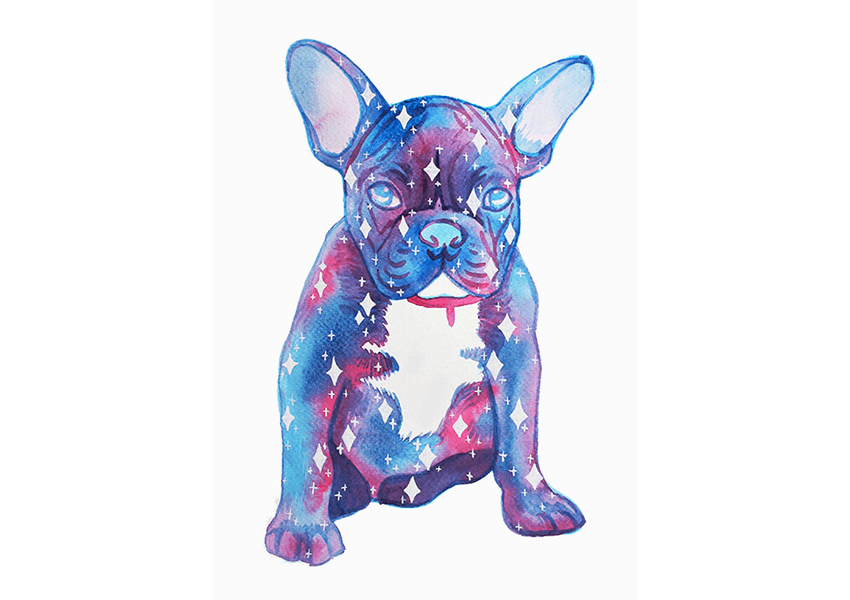 How to Create a Galaxy Pet Portrait Using Watercolour Paint
