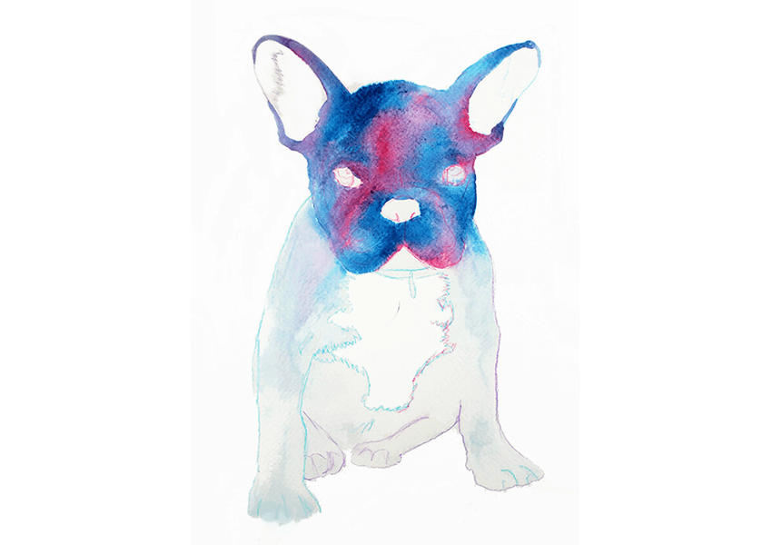 How to Create a Galaxy Pet Portrait Using Watercolour Paint | Envato Tuts+