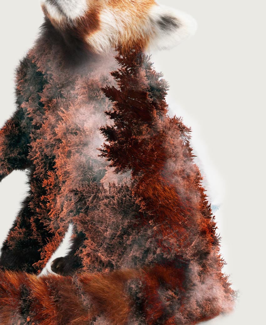 How to Create a Double Exposure Effect in Affinity Photo - iDevie