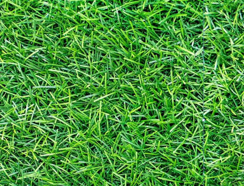 How to Turn a Texture Into a Seamlessly Tiled Background | Envato Tuts+