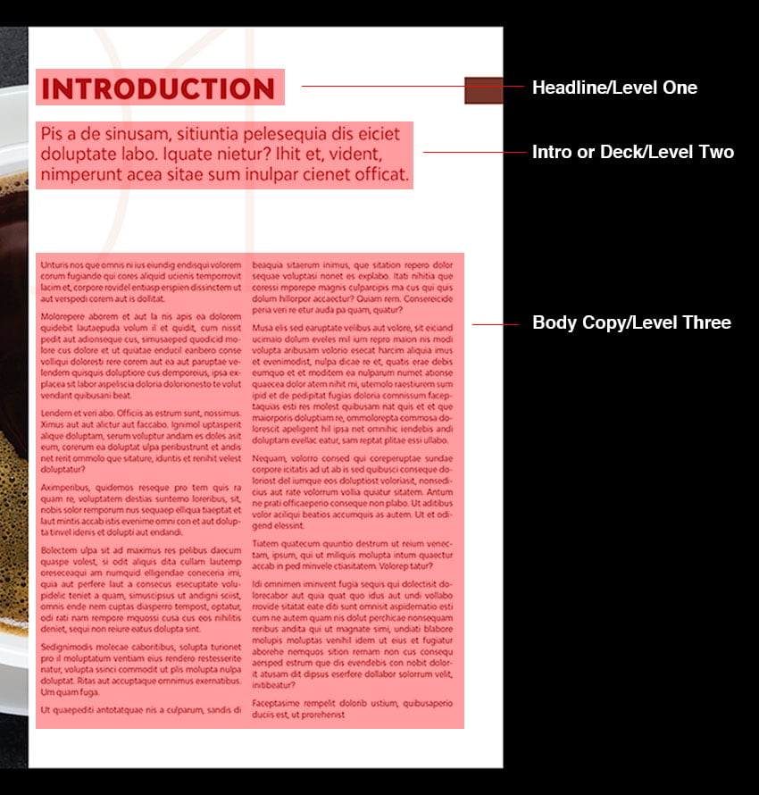 How to Create Layout Templates in InDesign (For Magazines, Newsletters ...