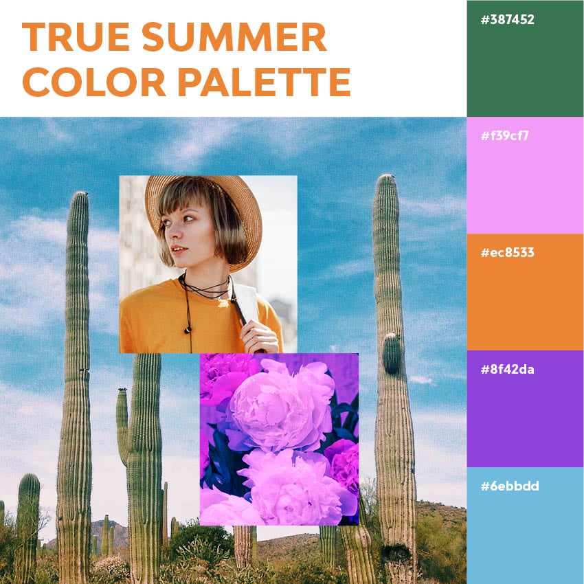 Summer Color Palette Inspiration: Trending Palettes and More | Envato Tuts+