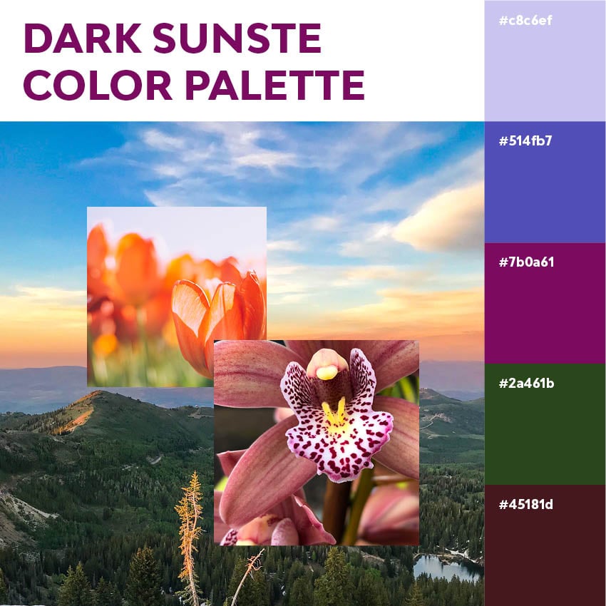 Sunset Color Palette Inspiration: Trending Palettes and Templates ...