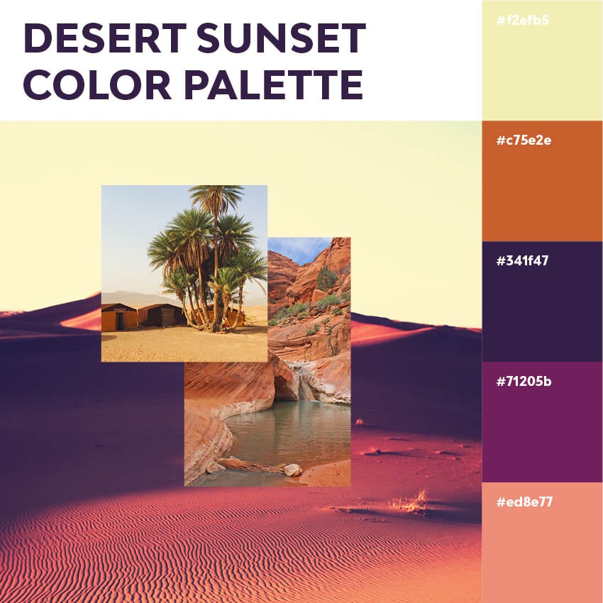Sunset Color Palette Inspiration: Trending Palettes and Templates ...