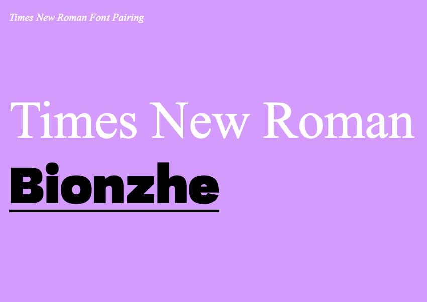 15 Best Fonts to Pair with Times New Roman | Envato Tuts+