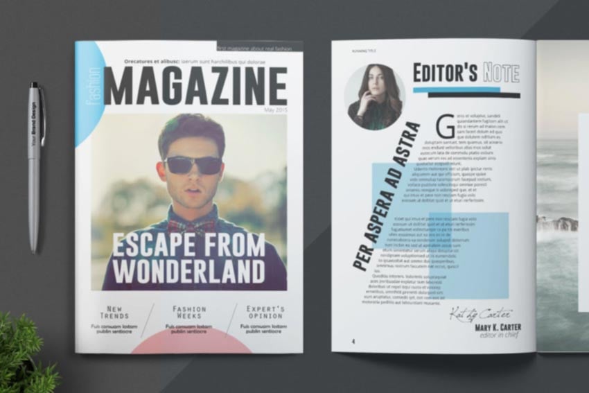 25+ Best Stylish Adobe InDesign Magazine Templates (New for 2025 ...