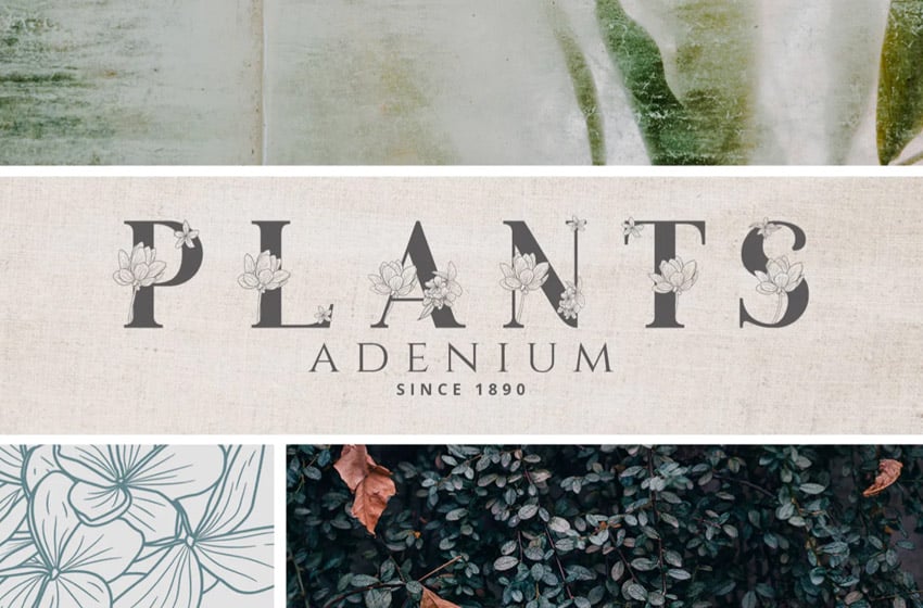Best Flower Fonts (Must Have Floral Fonts for Spring) | Envato Tuts+