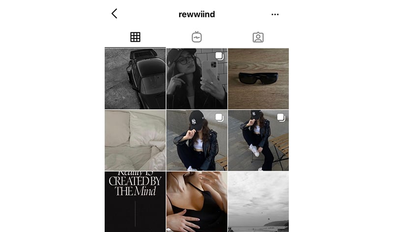 21 Awesome Instagram Themes (Aesthetic Post Ideas) | Envato Tuts+