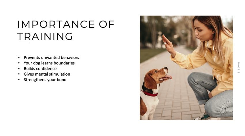 Rules of PowerPoint (Rule of 3 and More) | Envato Tuts+