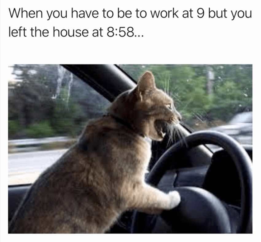 10 Common Memes That'll Make Any Presentation More Relatable | Envato Tuts+